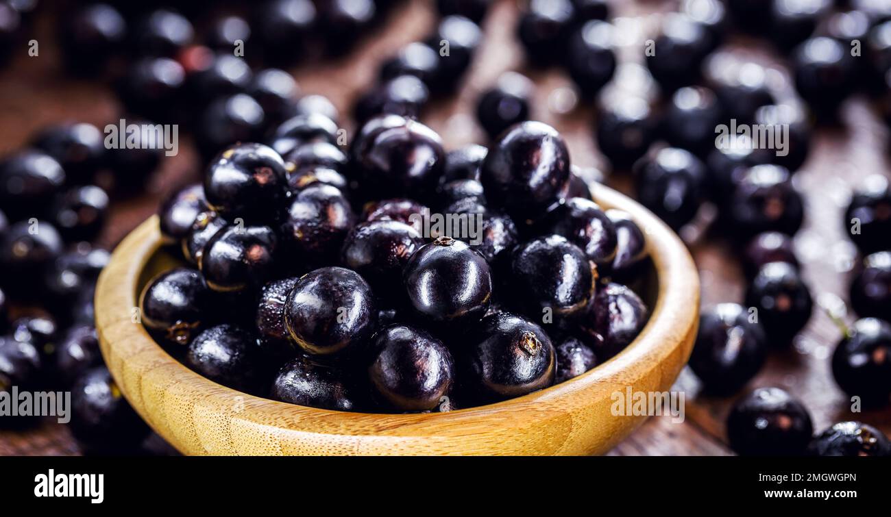 bowl with many jabuticabas, exotic south american grape native to ...