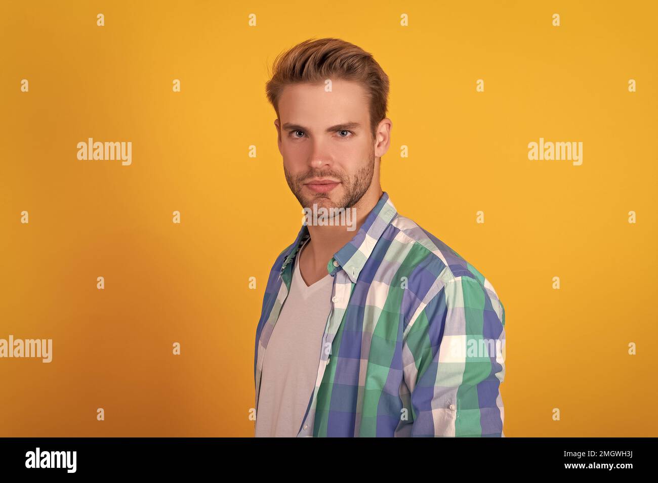 Serious young man portrait in checked shirt yellow background, handsome ...