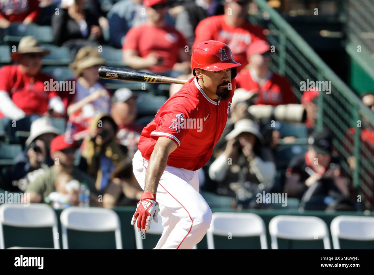 Los Angeles Angels' Anthony Rendon hits during a spring training ...