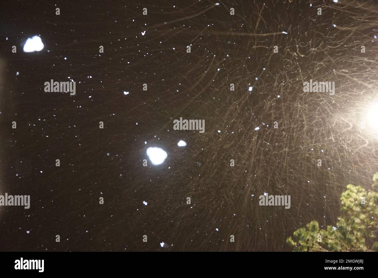 Falling snowflakes on night sky Stock Photo - Alamy