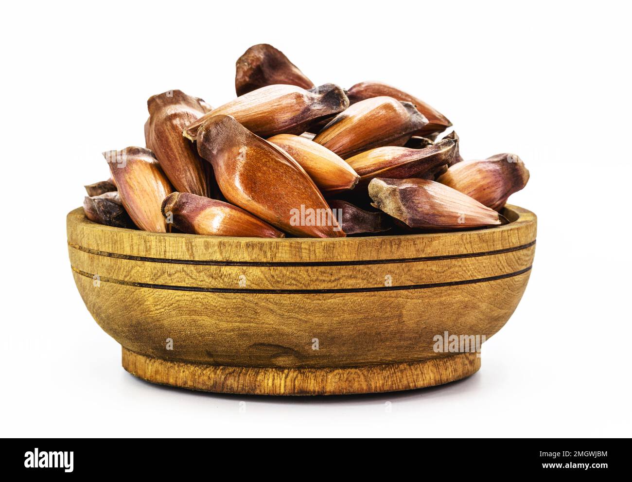 red brazilian pine seeds on isolated white background, Brazillian ...