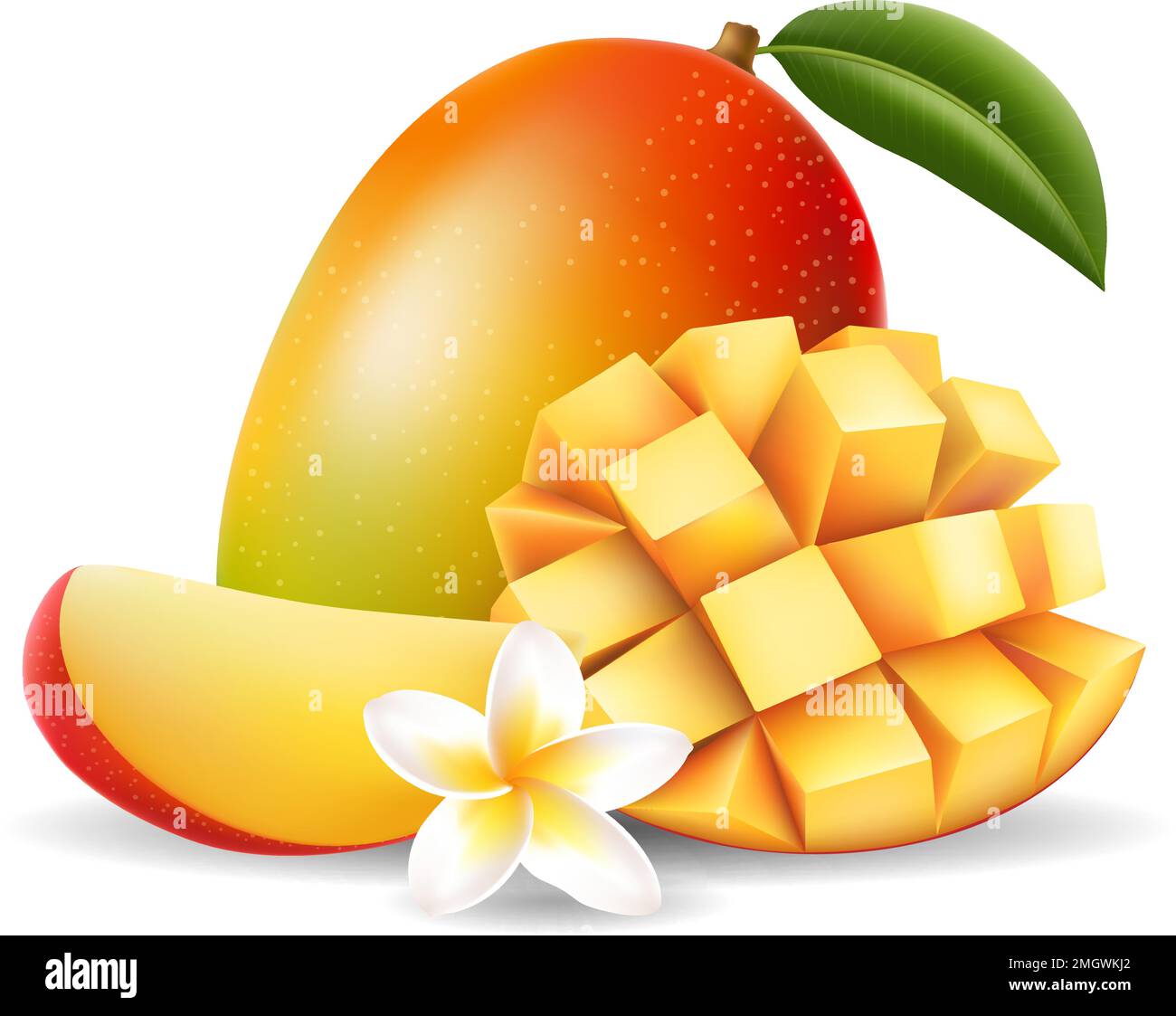 Mango Flower And Fruit