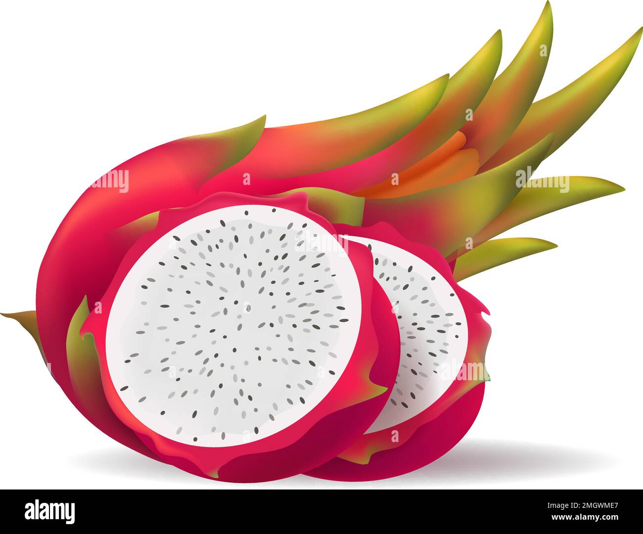 Pitahaya dragonfruit exotic fruit white Stock Vector Images - Alamy