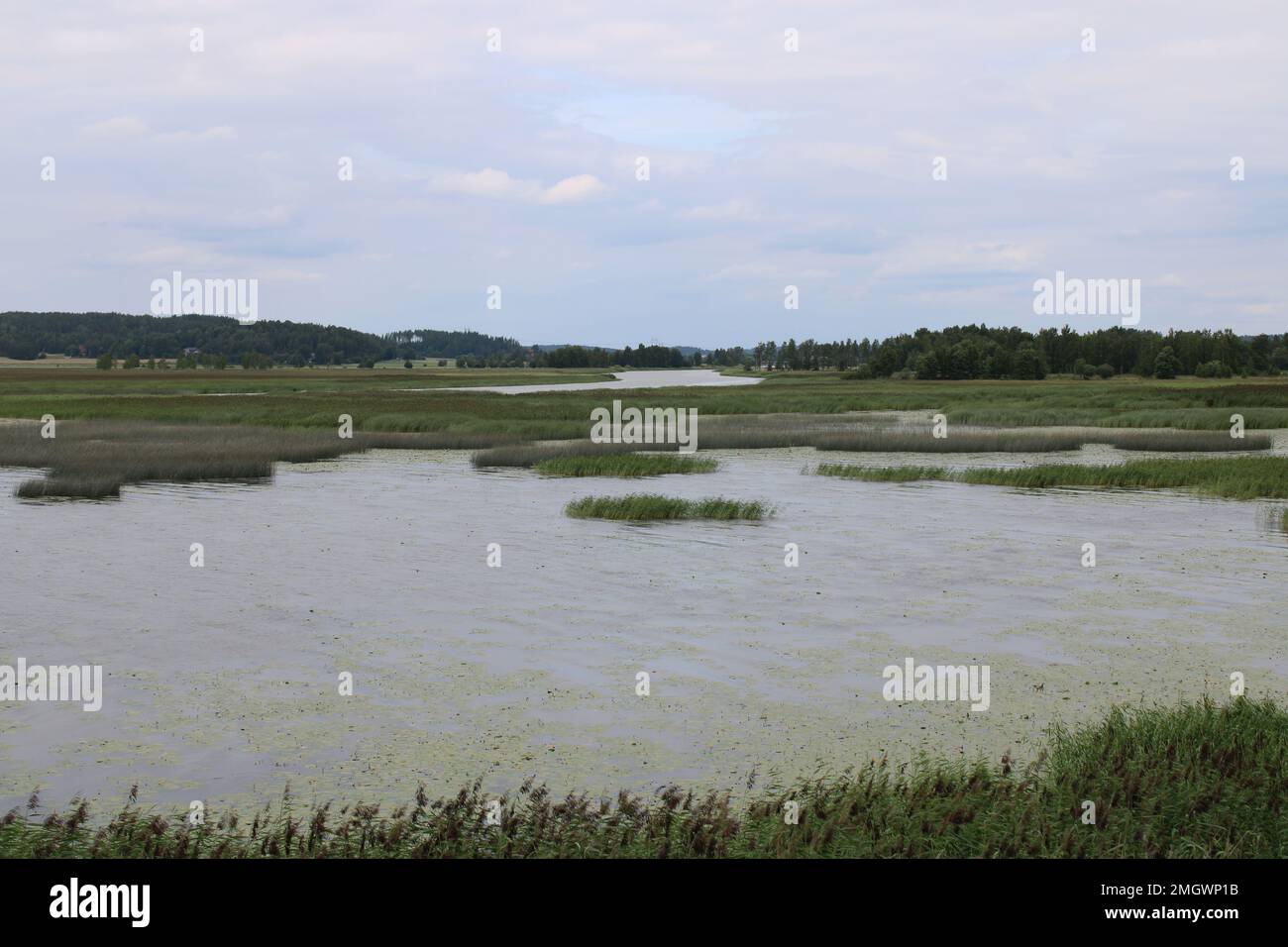 Visit paimio hi-res stock photography and images - Alamy