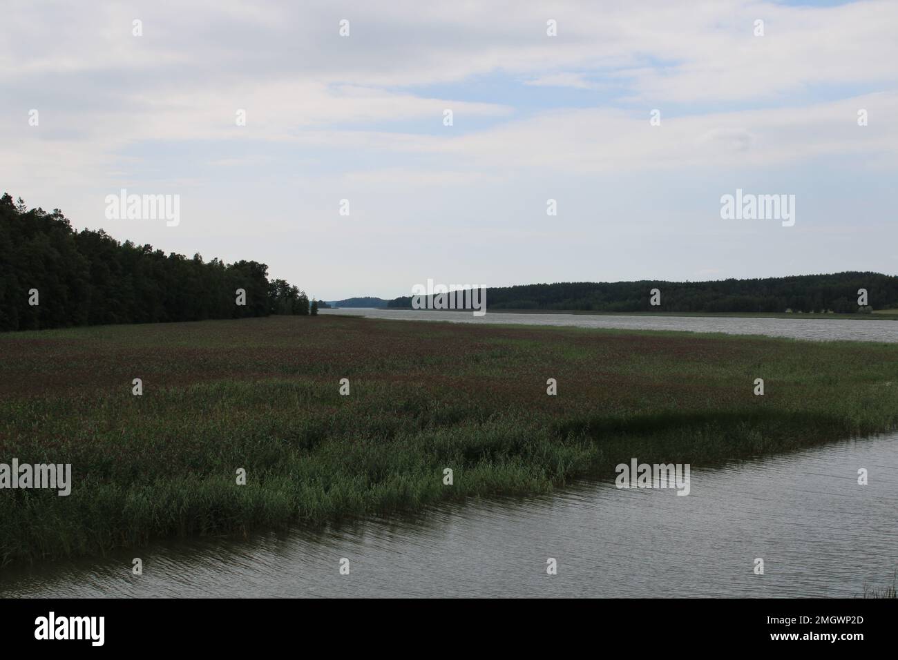 Paimionlahti hi-res stock photography and images - Alamy