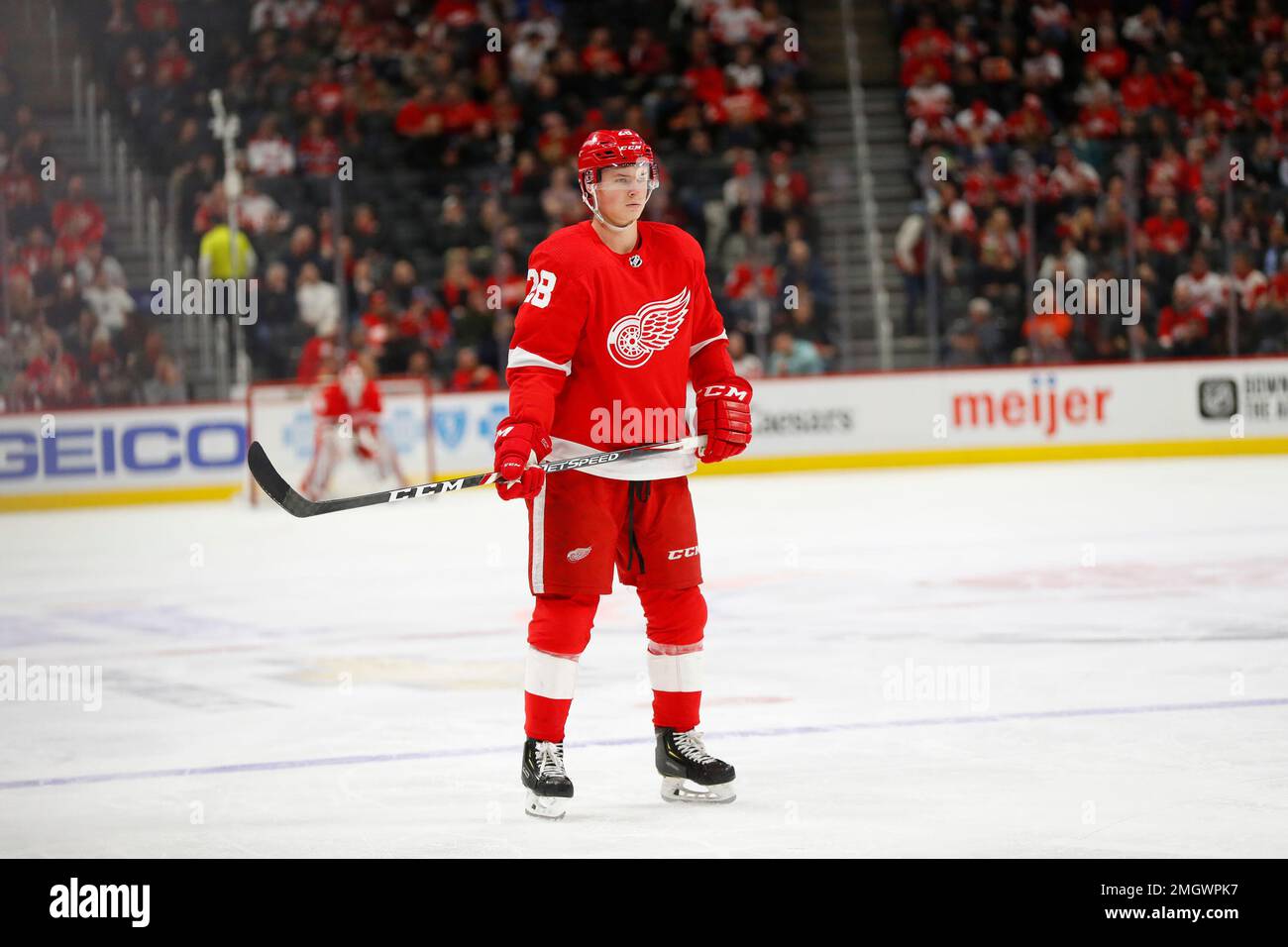 Detroit Red Wings defenseman Gustav Lindstrom plays against the ...