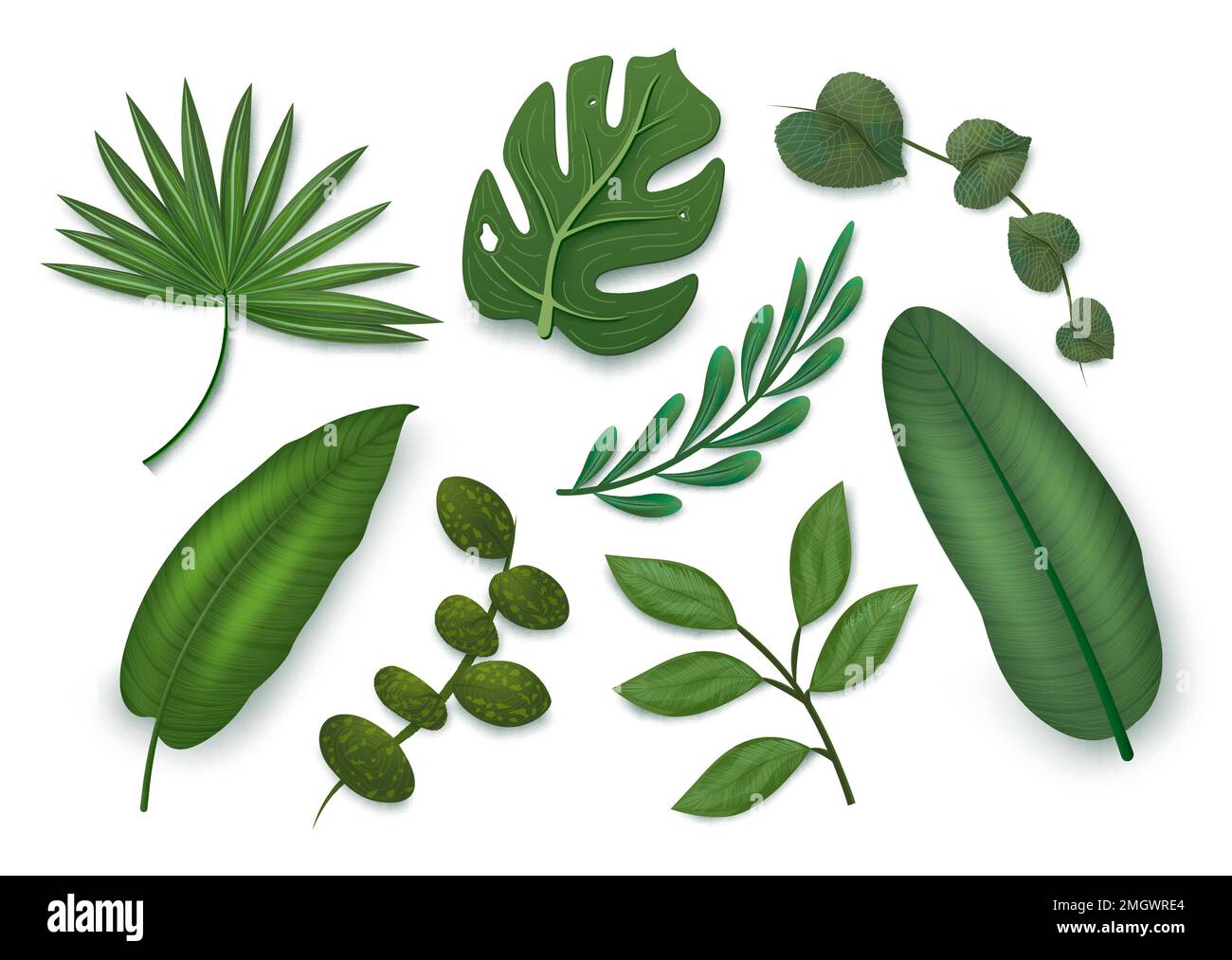 Leaves element vector set. Leaf green elements isolated for summer and ...