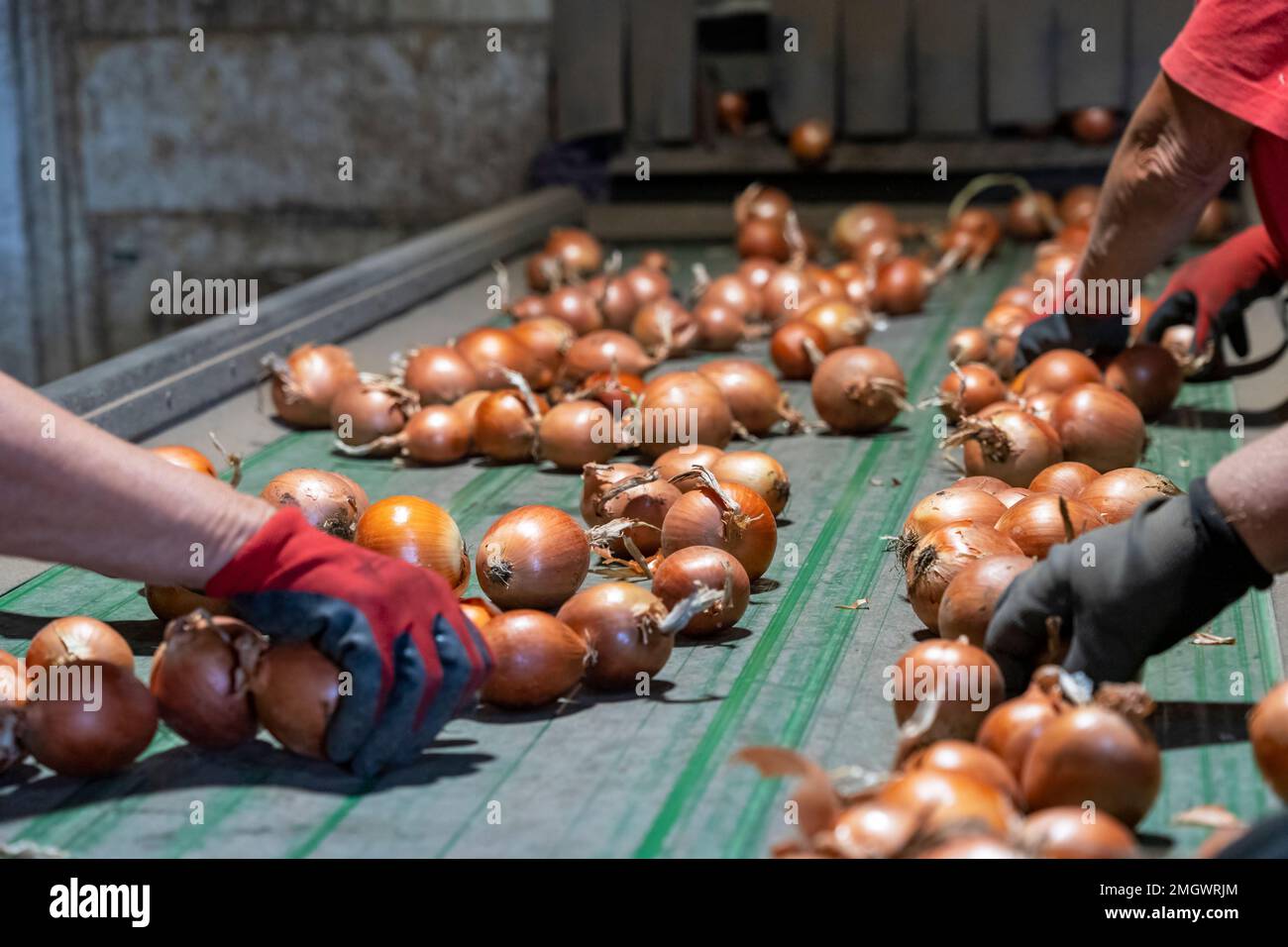 Production conveyor hi-res stock photography and images - Alamy