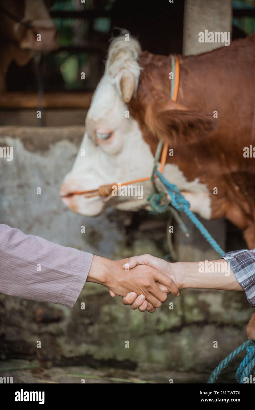 a farmer hand shake with the moslem man Stock Photo - Alamy