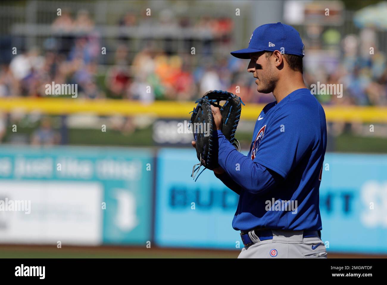 Chicago Cubs' Anthony Rizzo in action during a spring training baseball ...