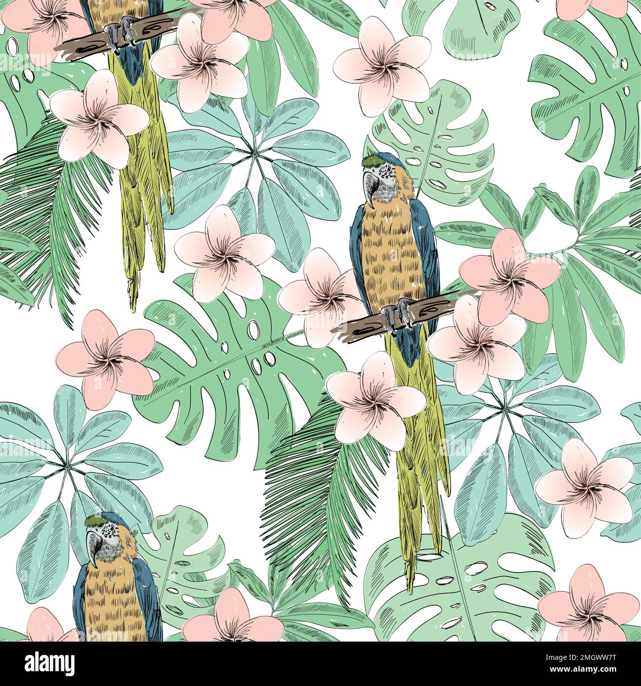 Tropical seamless pattern Stock Vector Image & Art - Alamy