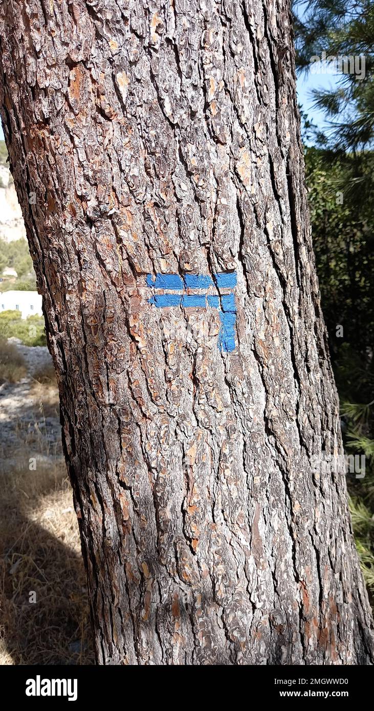 blue markings sign paint on tree for walking and hiking trails pathway ...