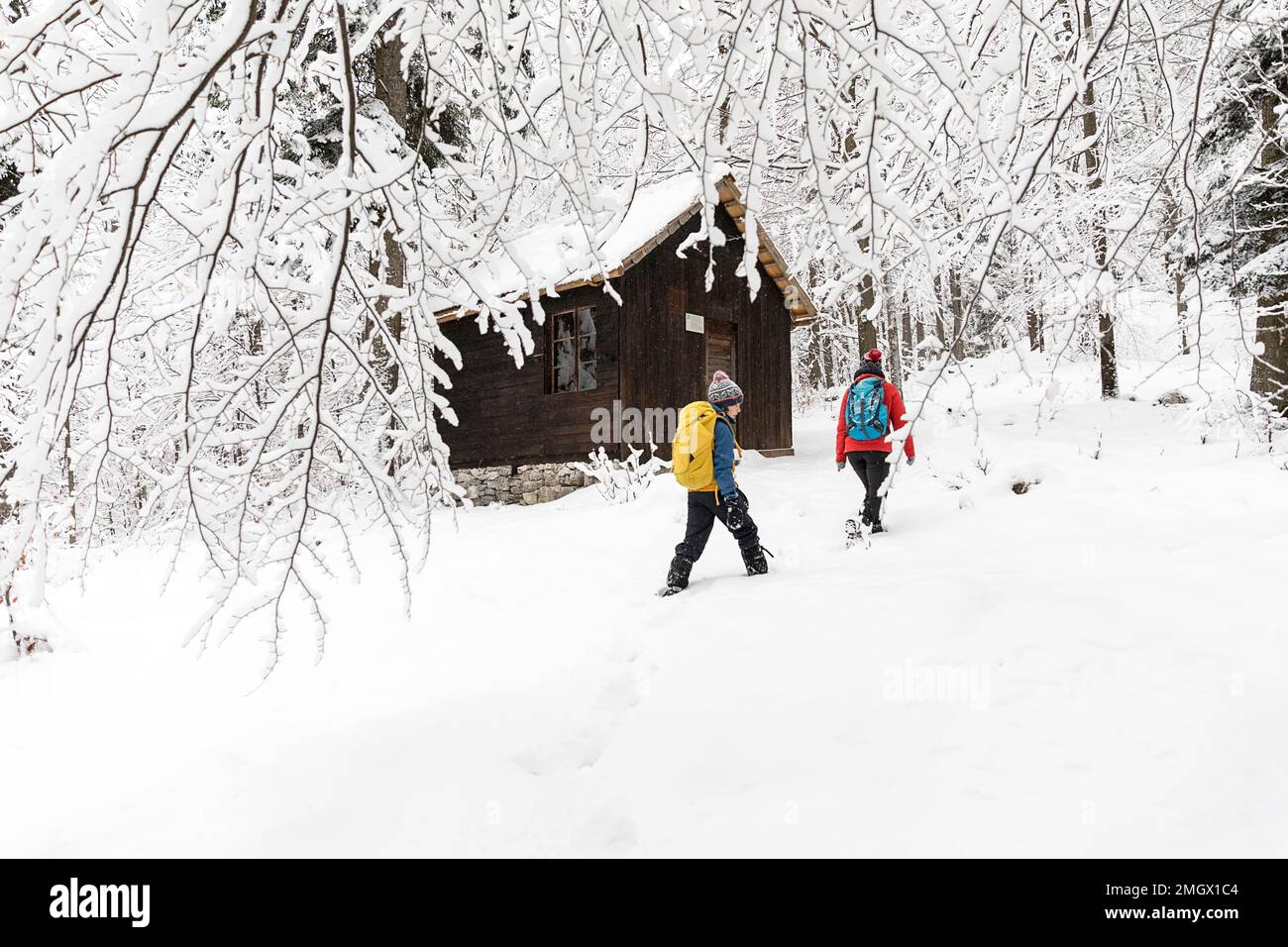 Tourists exploring Base 20 after snowfall in the forest of Kocevski Rog ...