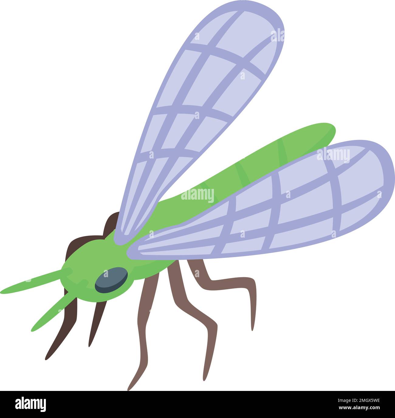 Forest insect icon isometric vector. Nature plant. Jungle asia Stock ...