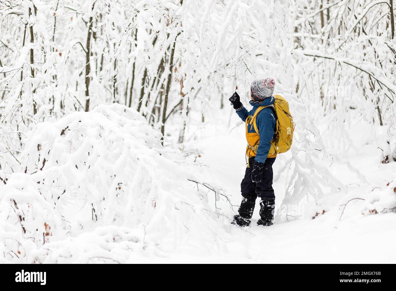 Kid, tourist, hiker, exploring primeval forest of Kocevski rog in heavy ...