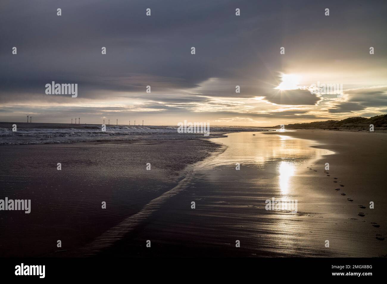 Forvie hi-res stock photography and images - Alamy