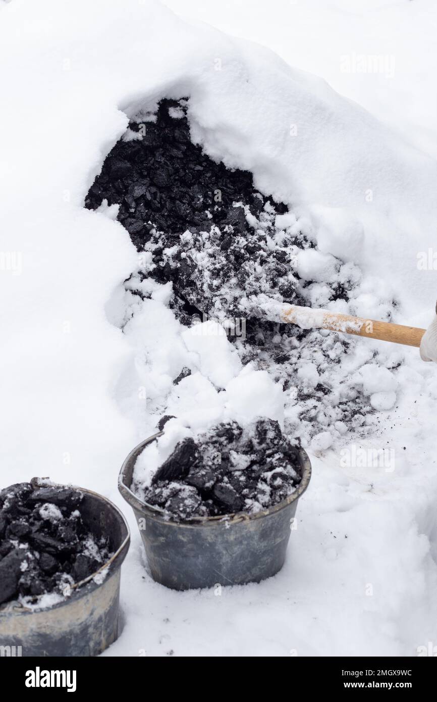 A man with a shovel is shoveling coal from a pile under the snow into a ...