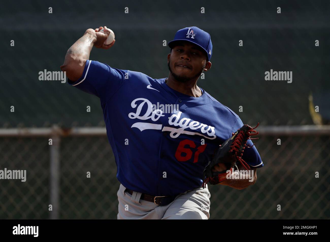 Los Angeles Dodgers pitcher Edubray Ramos throws during spring training ...