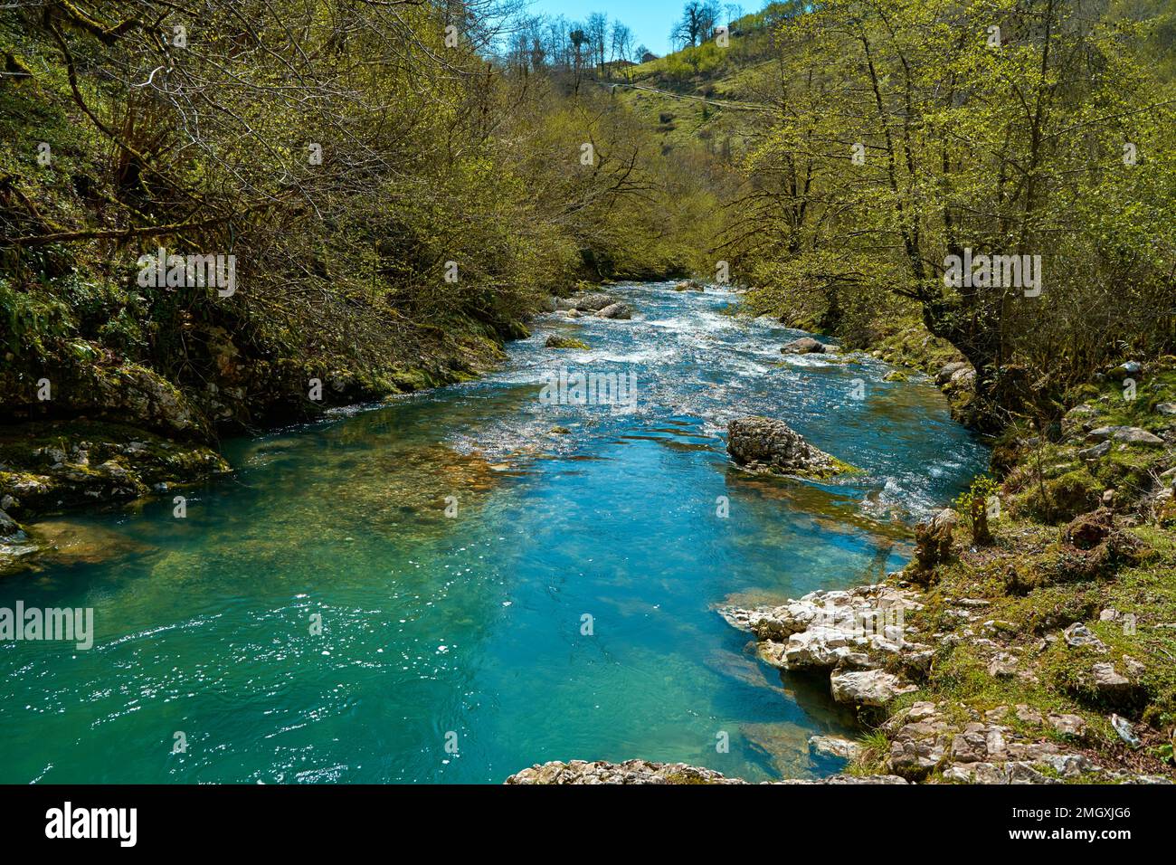 The natural pool of the mountain river with emerald clear water Stock ...