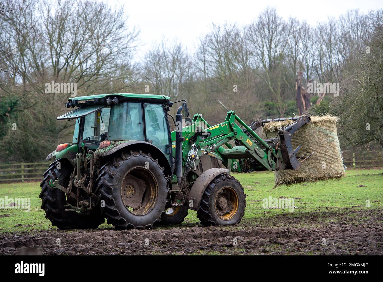 Tractor cows field england hi-res stock photography and images - Alamy