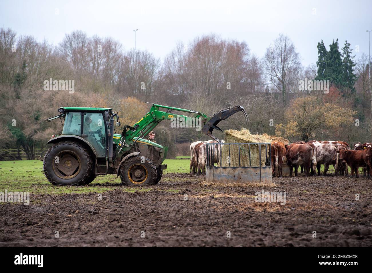 Therese coffey farm hi-res stock photography and images - Alamy