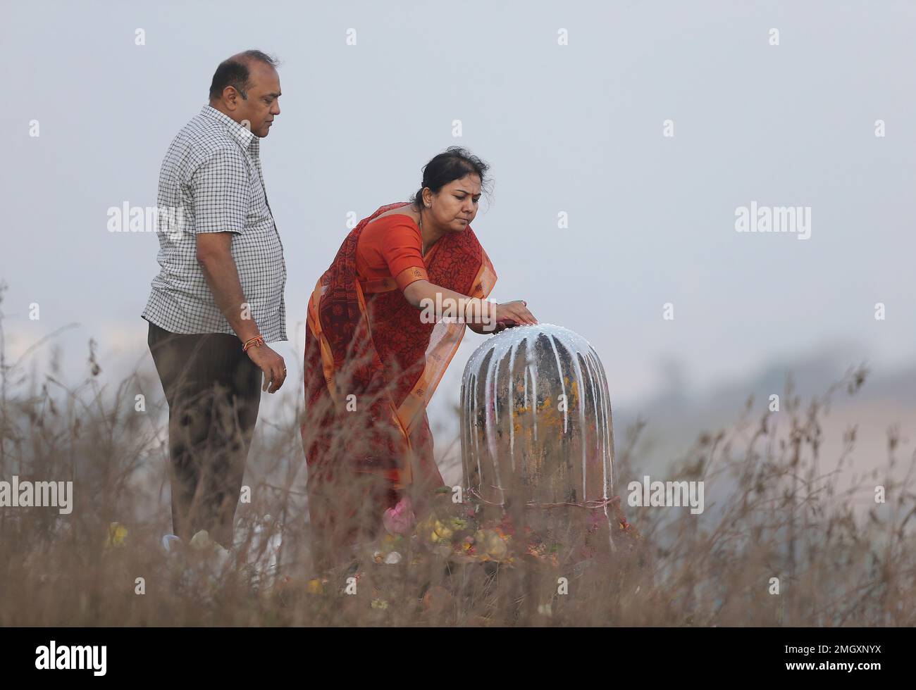 Hindu devotees perform rituals in front of a shivling, a representation ...
