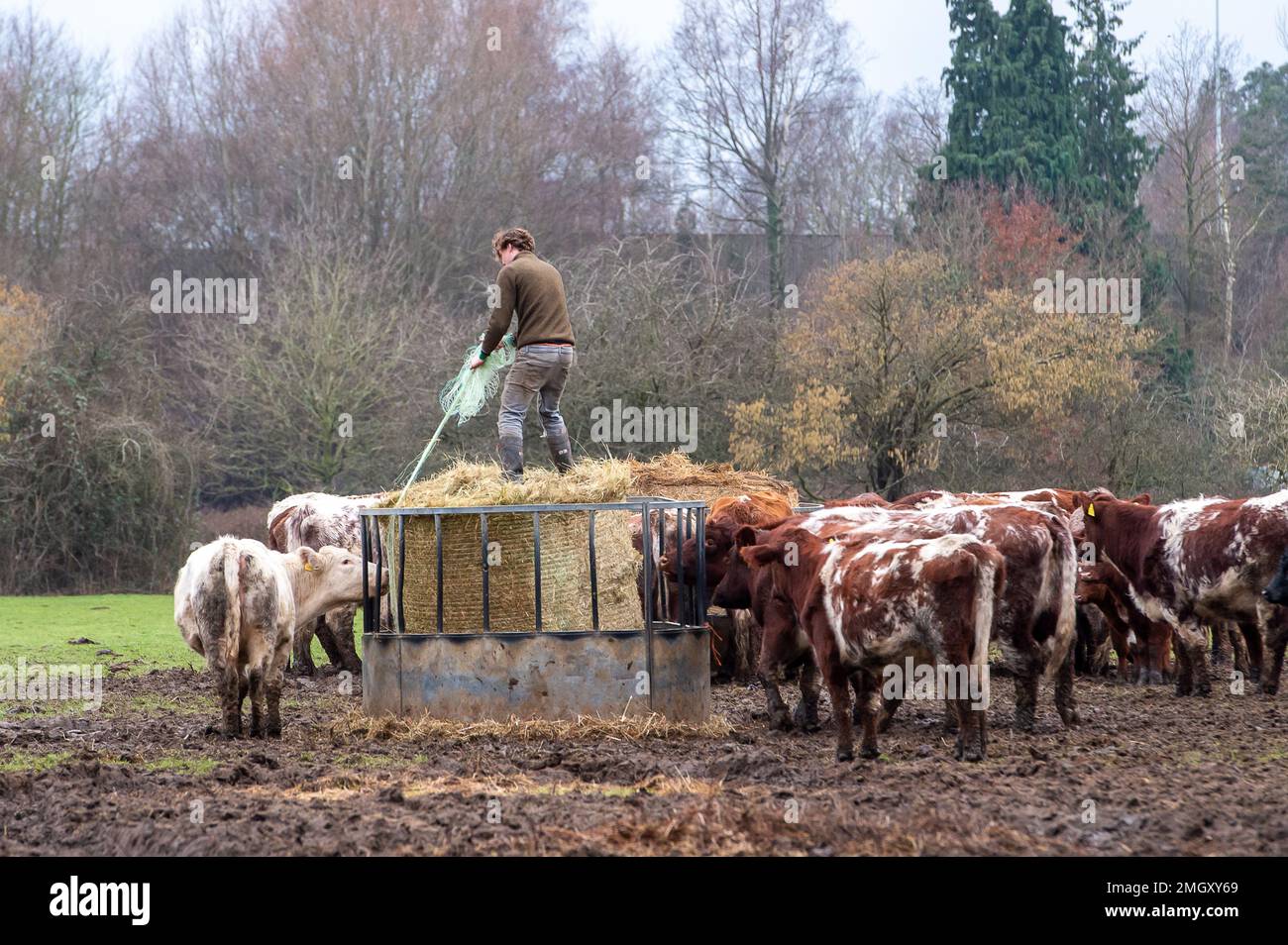 Therese coffey farm hi-res stock photography and images - Alamy
