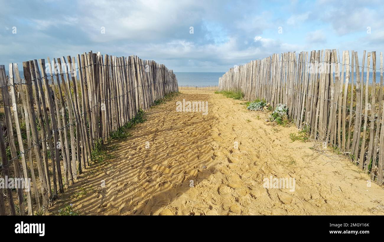 sand pedestrian path for access to the beach protected by wooden sides ...