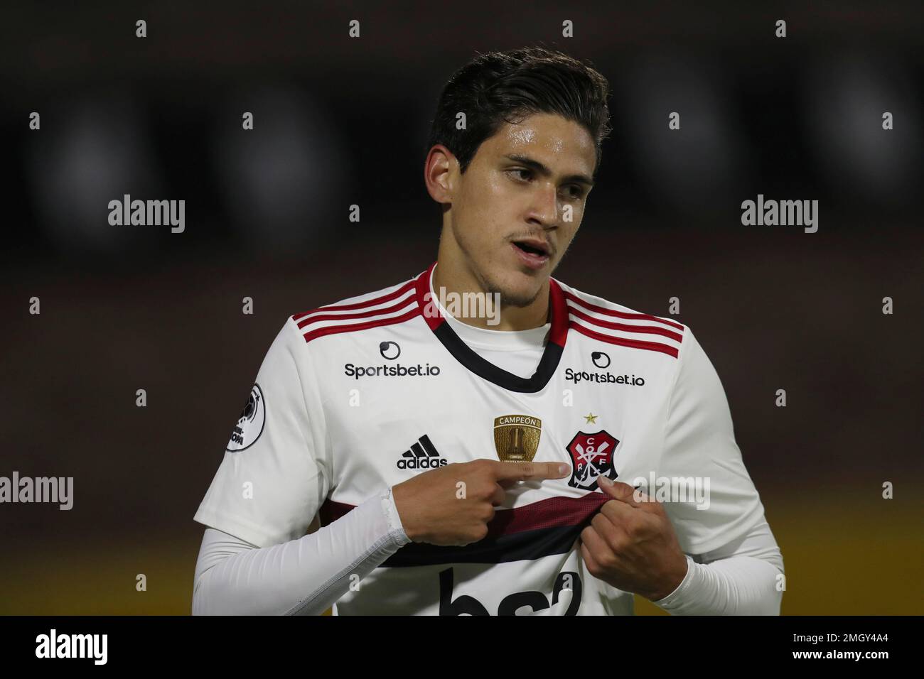 Pedro of Brazil's Flamengo celebrates scoring against Ecuador's ...