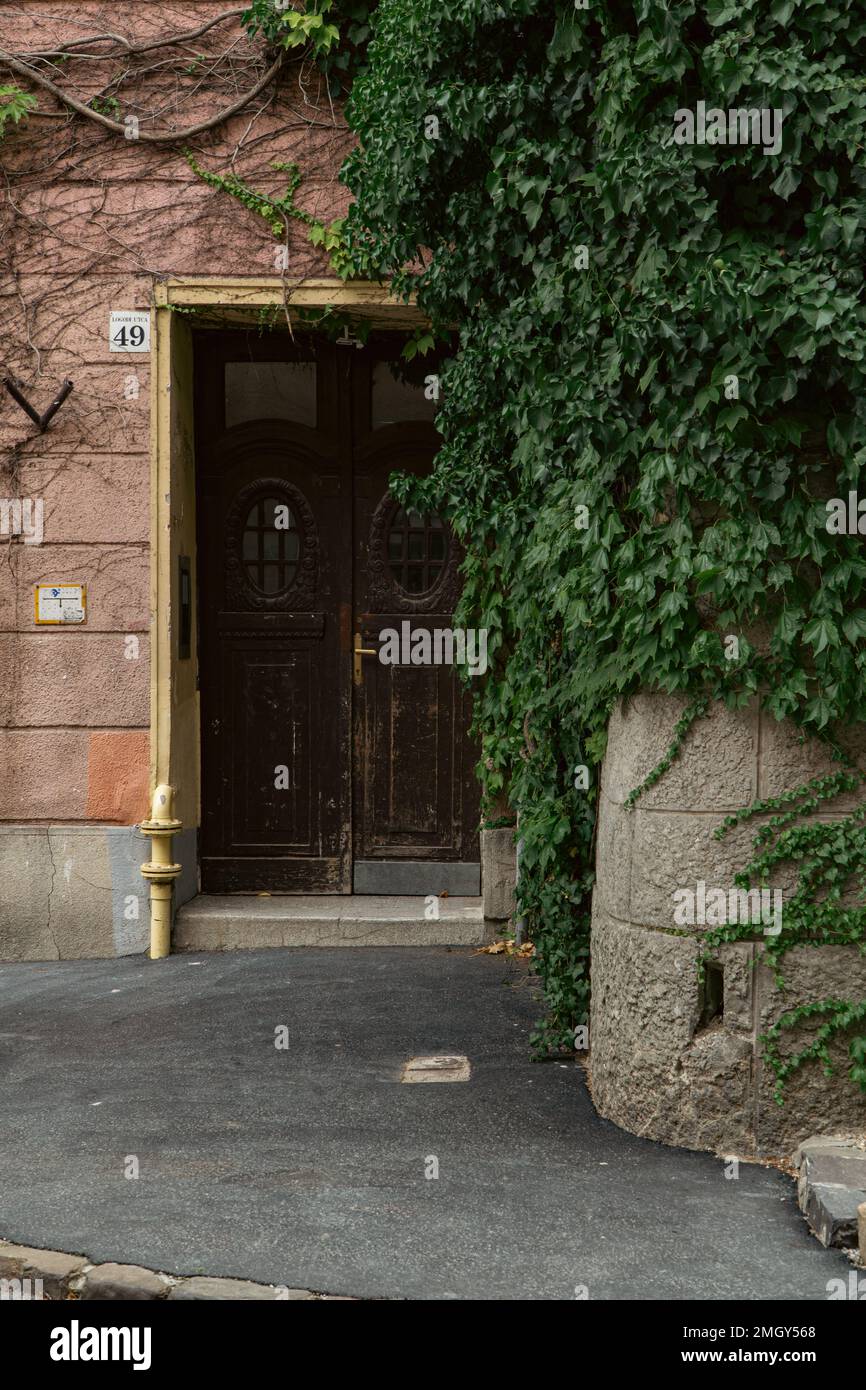 Gate with plants hi-res stock photography and images - Alamy