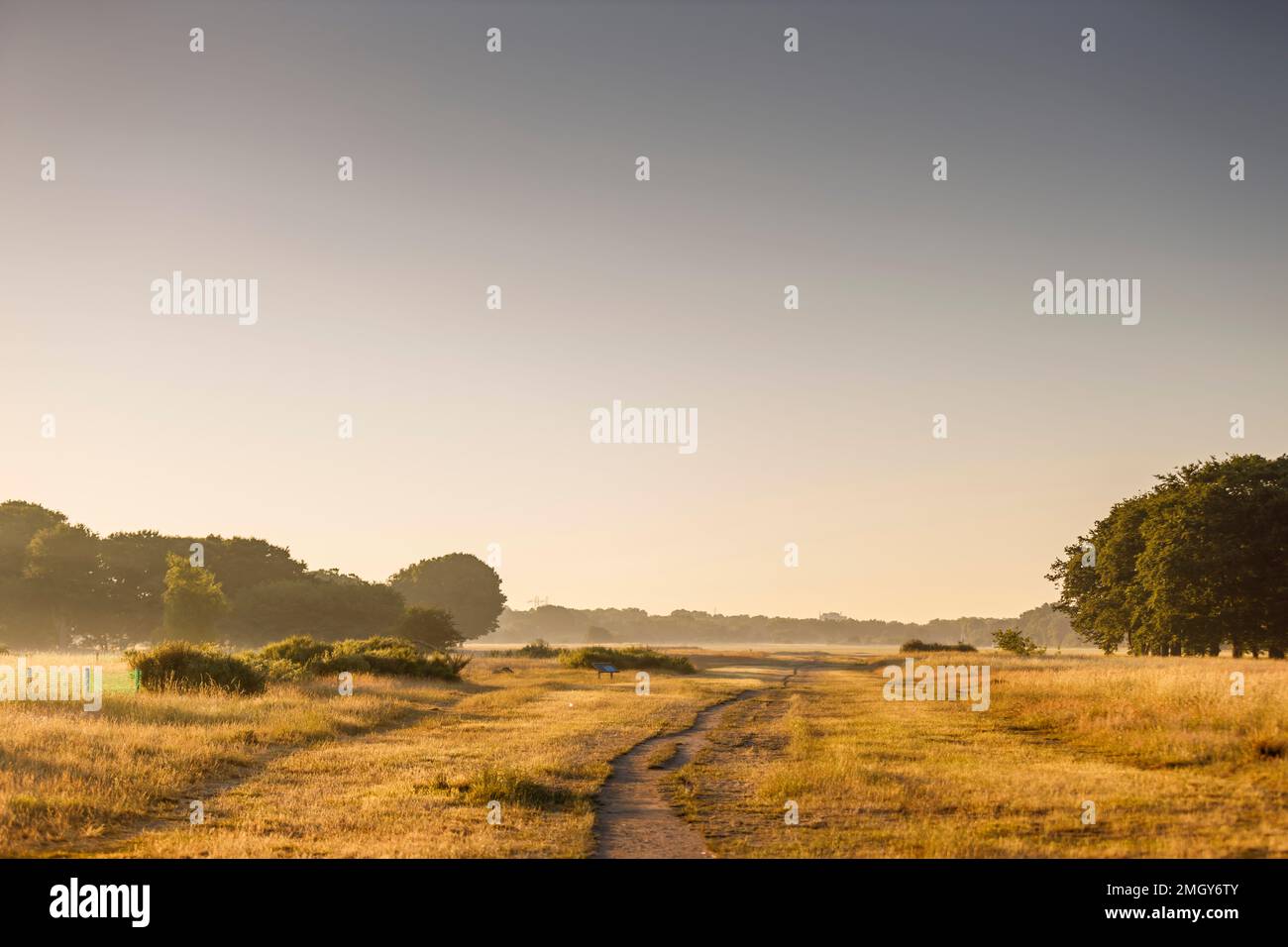 Forest Gate local area photography, London, UK, England Stock Photo - Alamy
