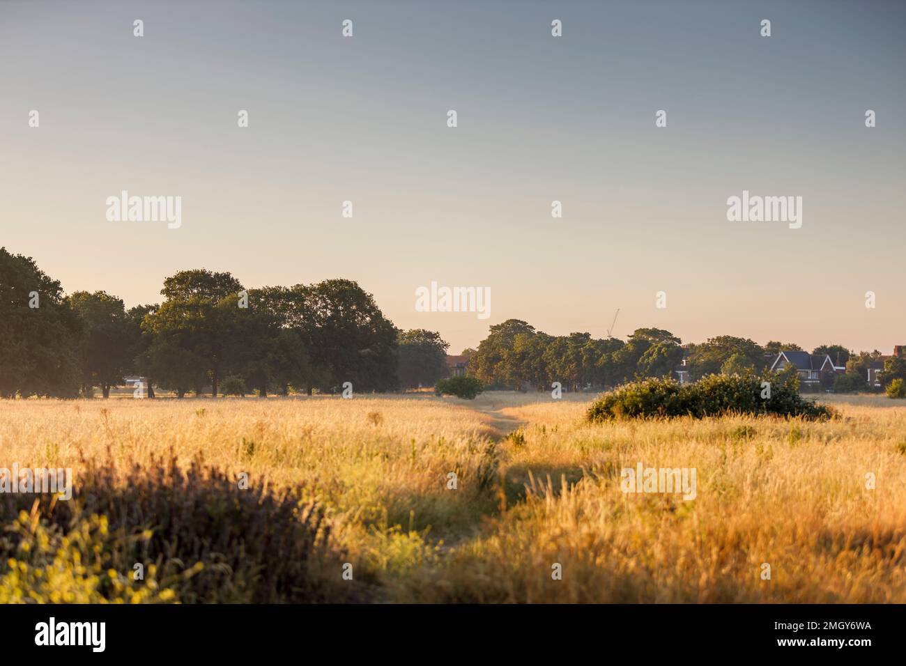 Wanstead flats, forest gate hi-res stock photography and images - Alamy