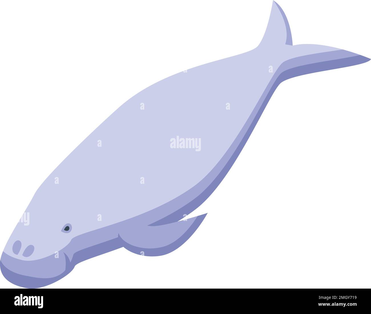 Baby eel Stock Vector Images - Alamy