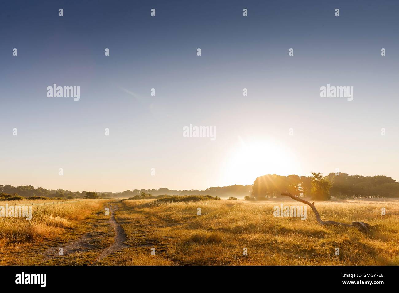 Wanstead flats, forest gate hi-res stock photography and images - Alamy