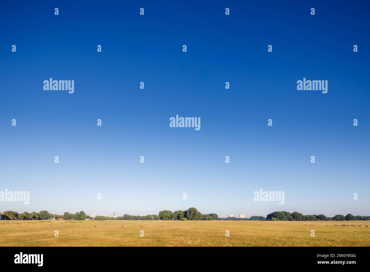 Forest Gate local area photography, London, UK, England Stock Photo - Alamy