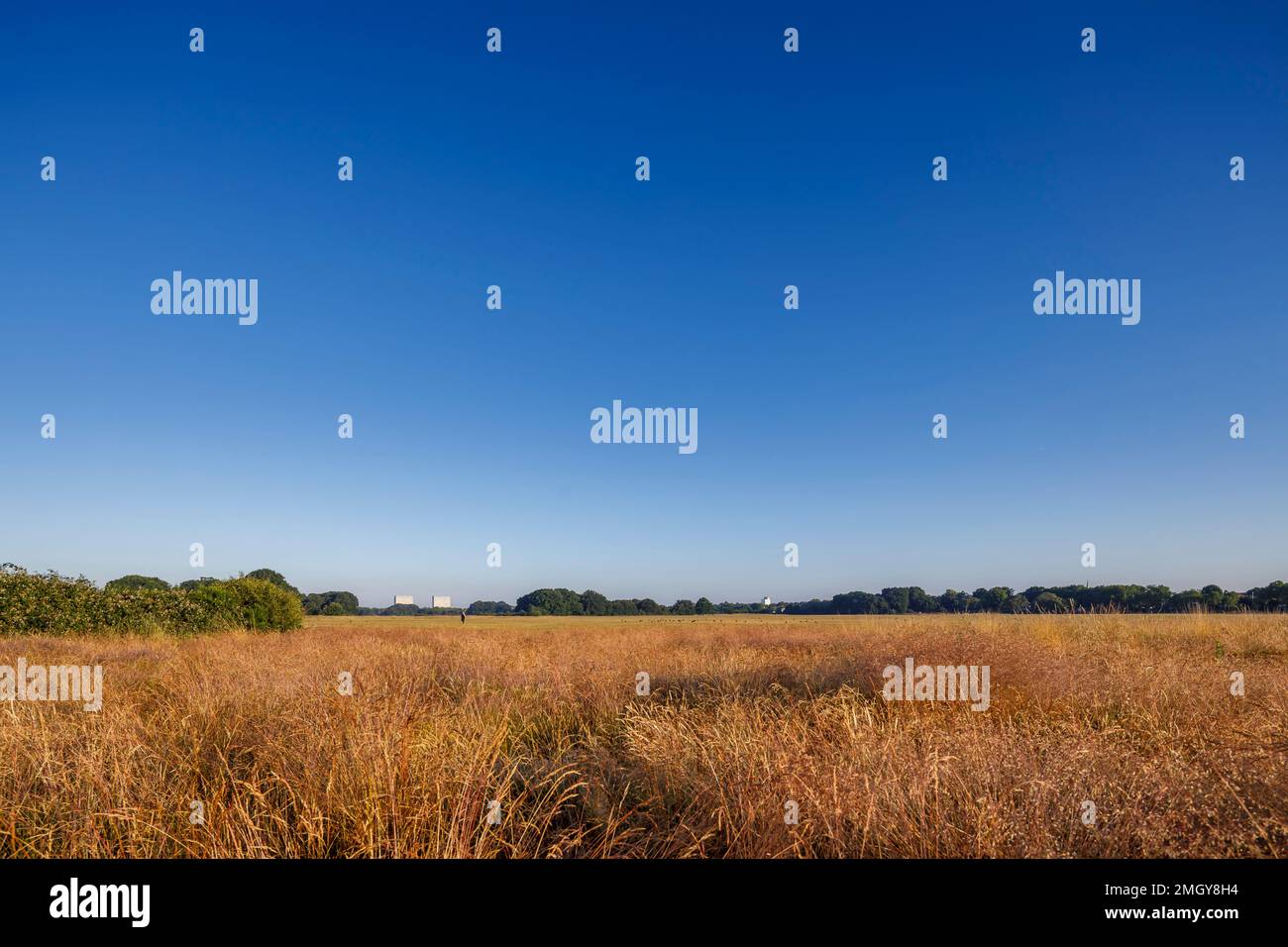 Forest Gate local area photography, London, UK, England Stock Photo - Alamy