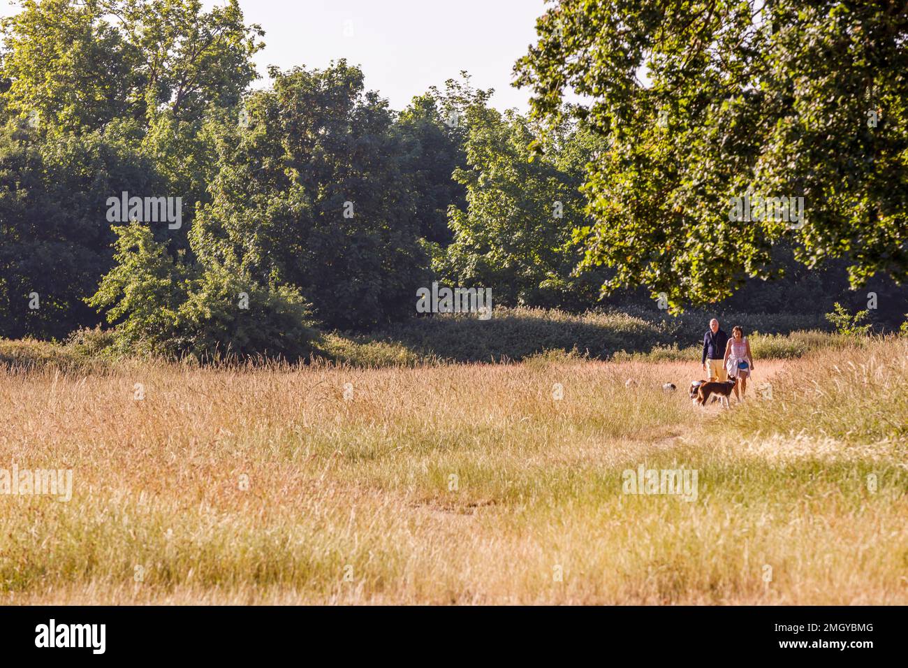 Forest Gate local area photography, London, UK, England Stock Photo - Alamy