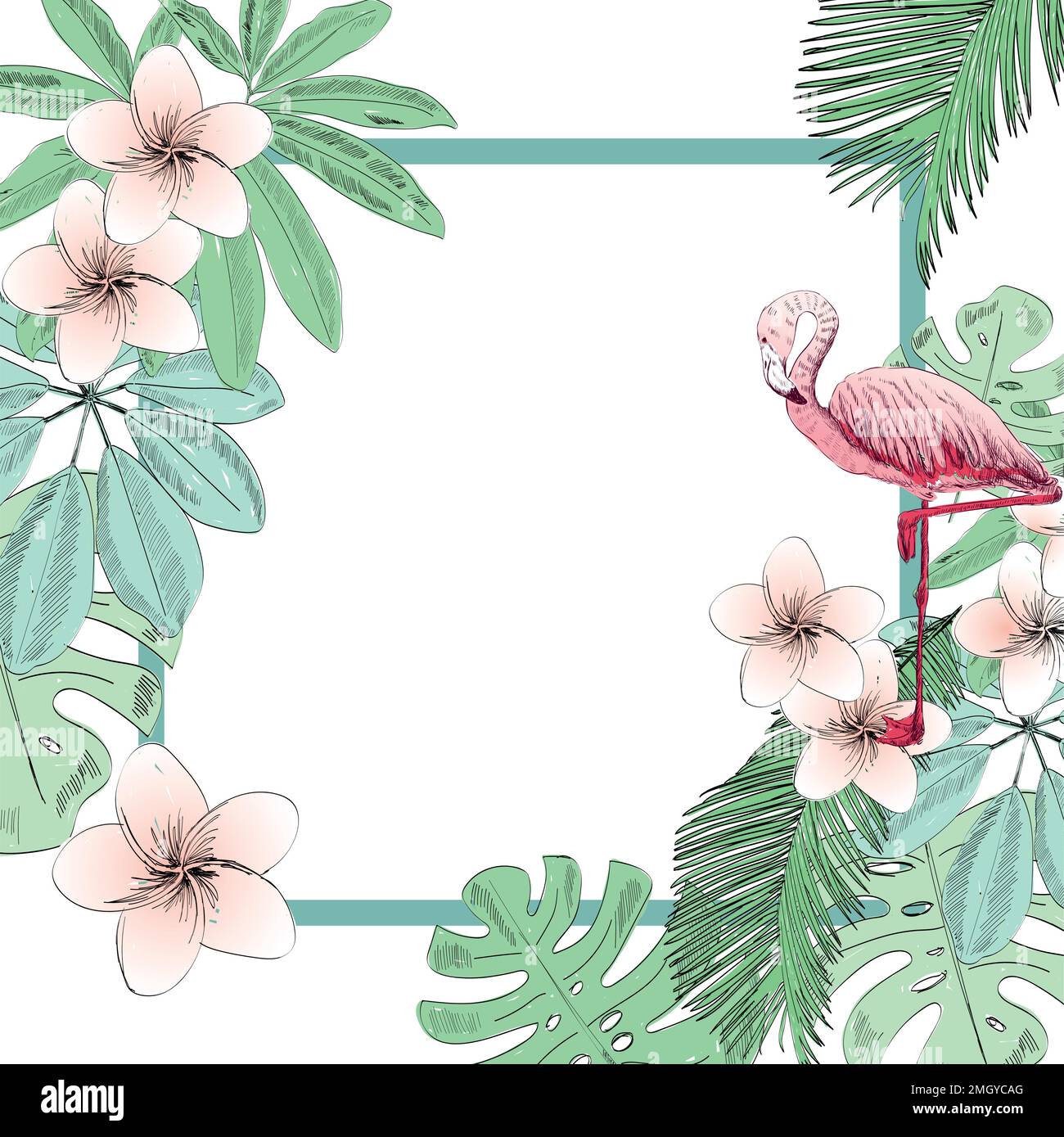 Tropical vector illustration Stock Vector Image & Art - Alamy