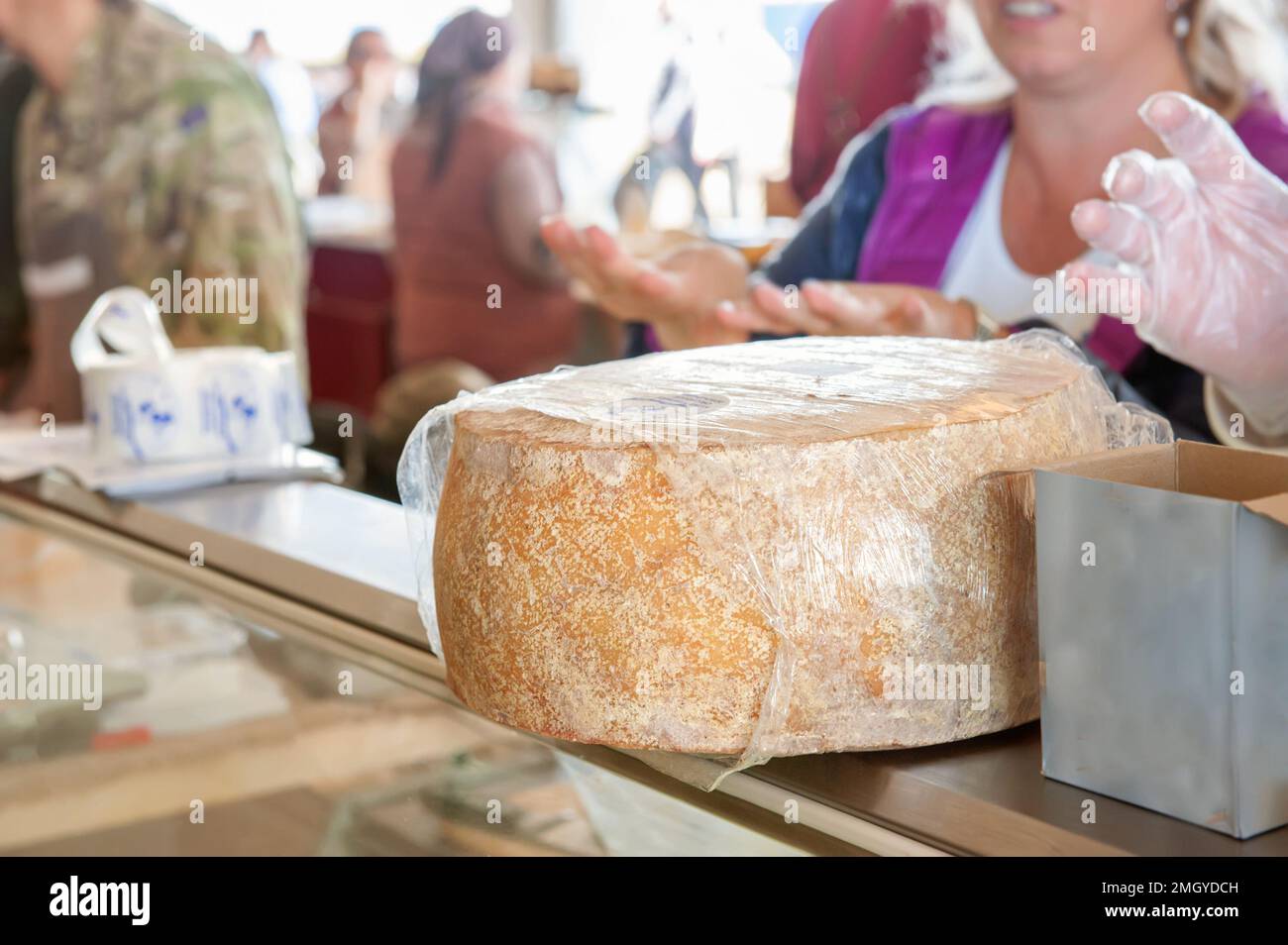 Cheeses of Russian cheese makers. Russian varieties of cheese at the ...