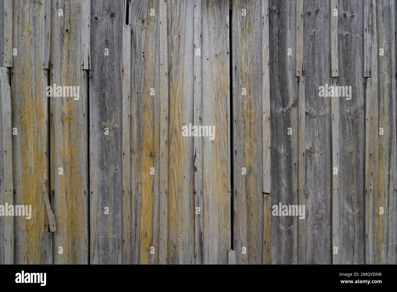 green brown wooden texture background vertical planks wood wall Stock ...