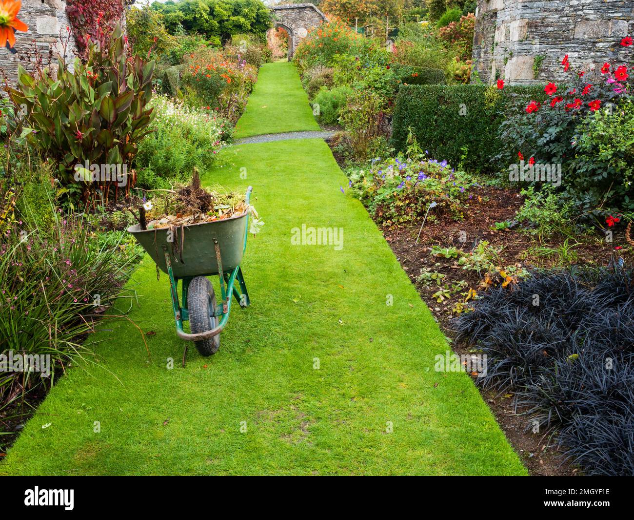 Dahlia's garden border hi-res stock photography and images - Alamy