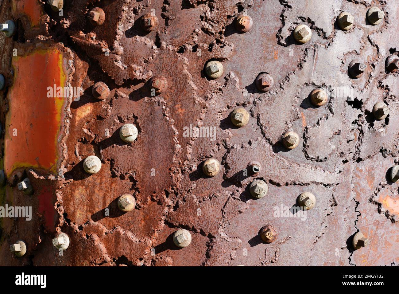 tree trunk perforated by large screws and nut bolt brown dark art ...