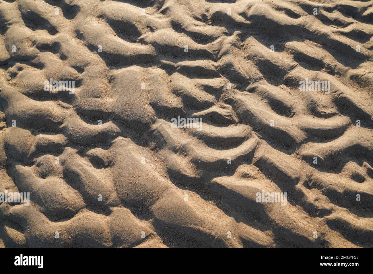 texture beach sand in summer sun Brown sandy background Stock Photo - Alamy