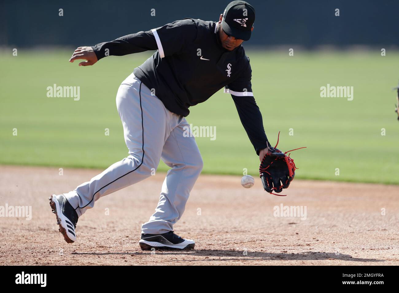 Chicago White Sox infielder Edwin Encarnacion during spring training ...