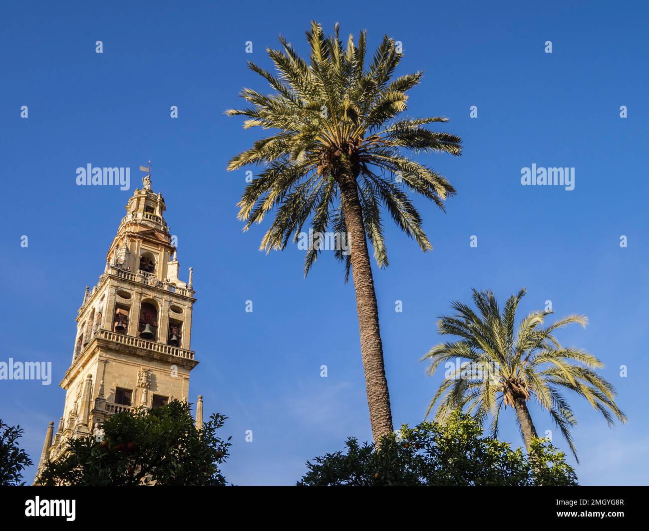 The Bell Tower of the Mosque Cathedral, Cordoba, Andalucia, Spain Stock ...