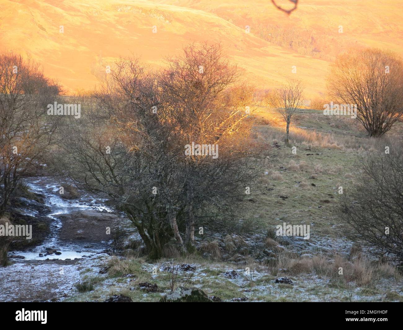 Scottish scenery in winter: the late afternoon sun gives the Campsie ...