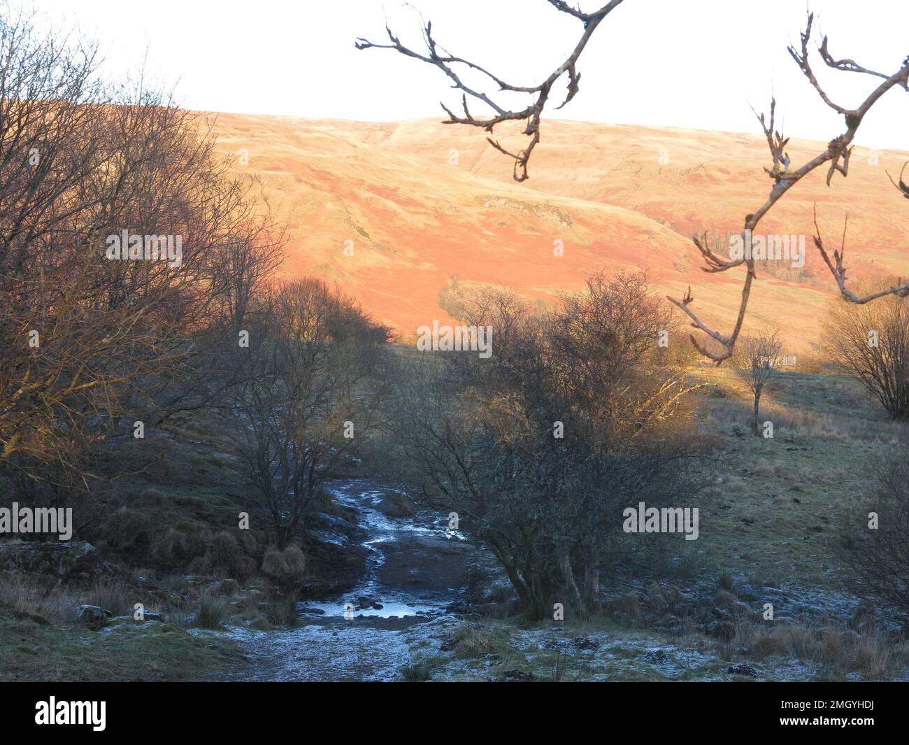 Scottish scenery in winter: the late afternoon sun gives the Campsie ...