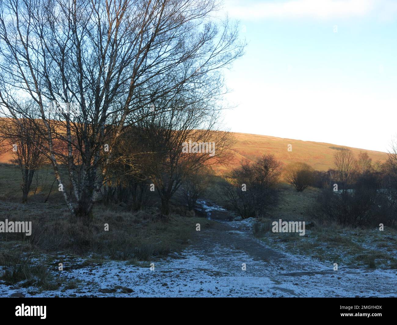 Scottish scenery in winter: the late afternoon sun gives the Campsie ...