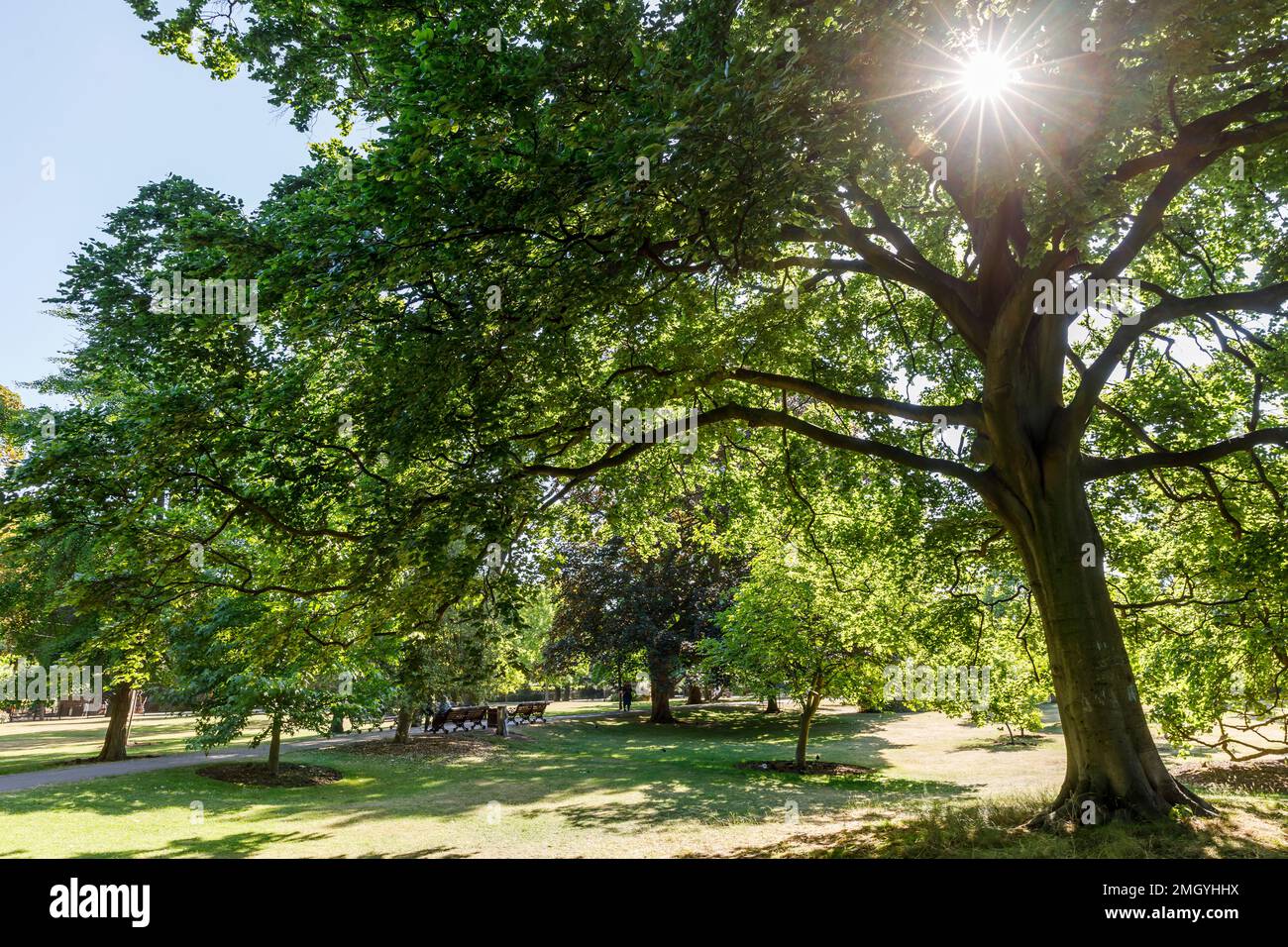 Forest Gate, Local Area Photography Stock Photo - Alamy