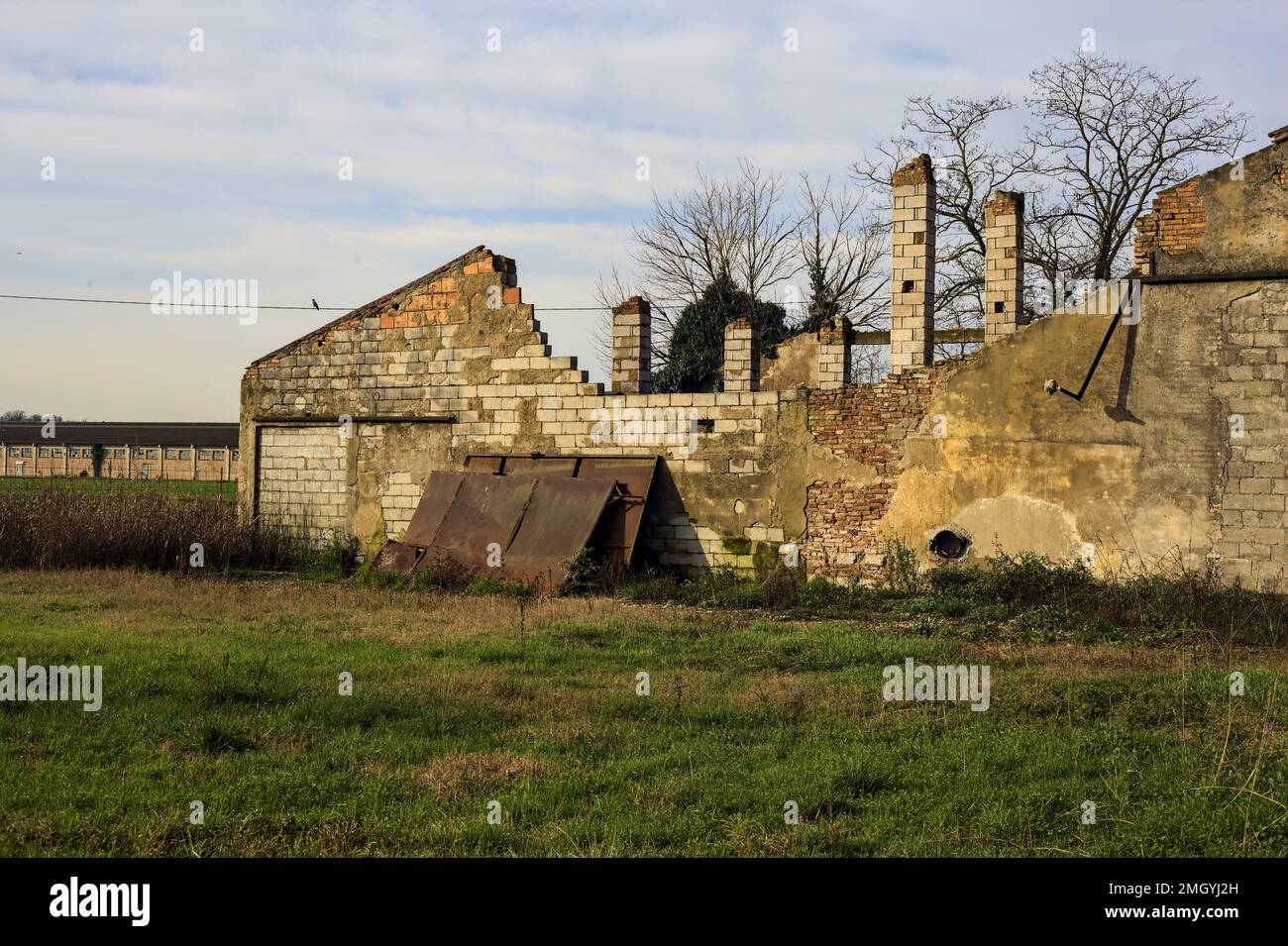 Abandoned country house in a field in the italian countryside Stock ...